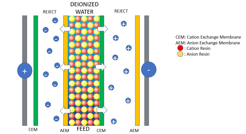 Electrodeionization (EDI) Systems for Ultra-Pure Water | Filtox